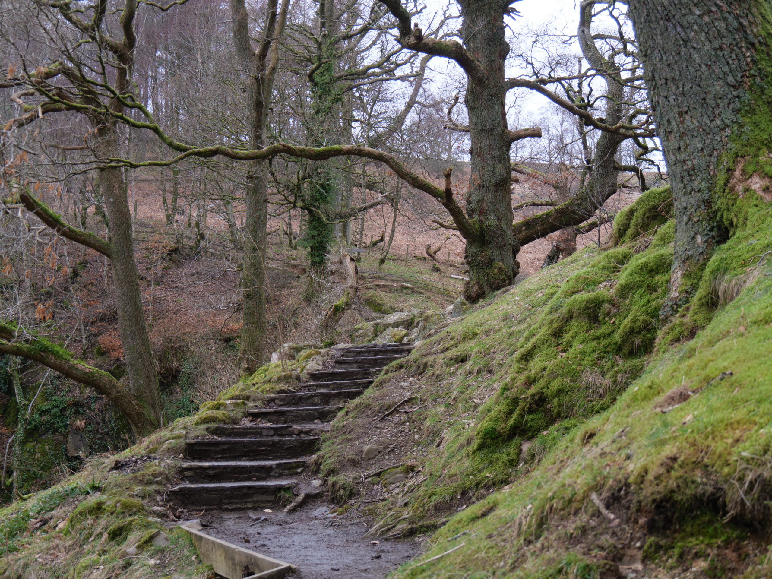Dockray en Camping-Car Angleterre